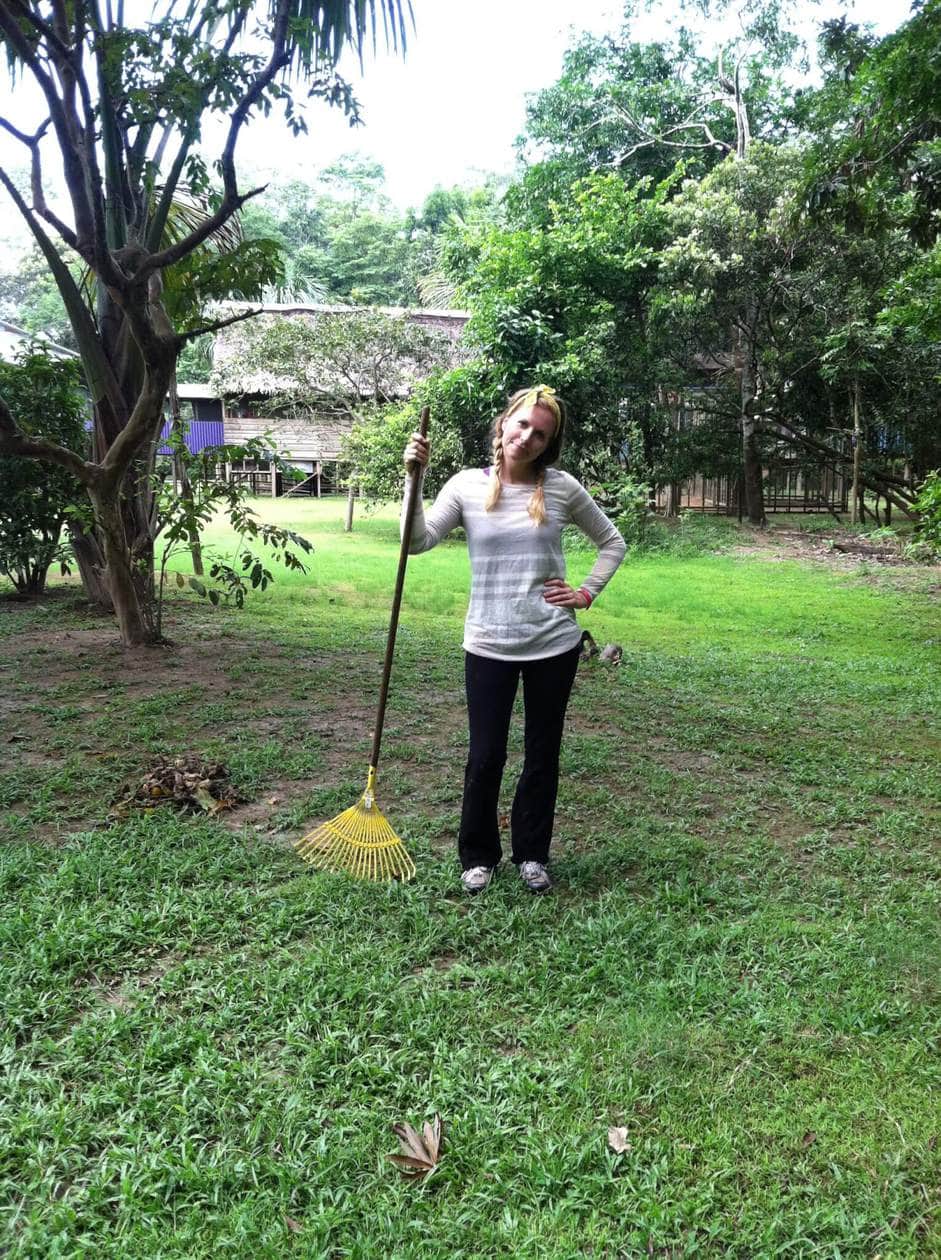 Raking the Jungle Floor