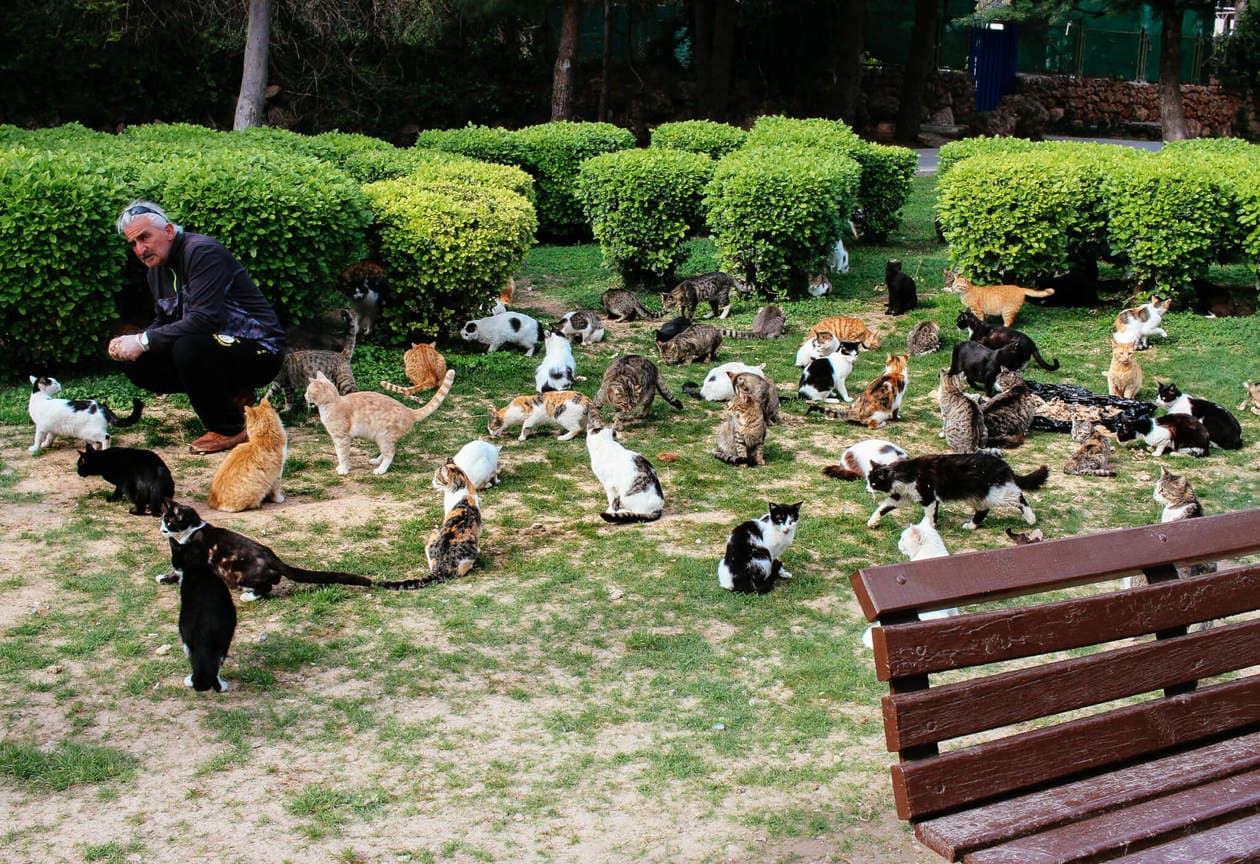 Catching Up on Antalya