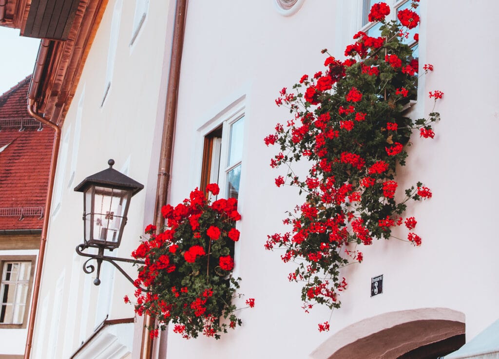 Fussen, Germany // 5 Things to Do in this Charming Romantic Road Town