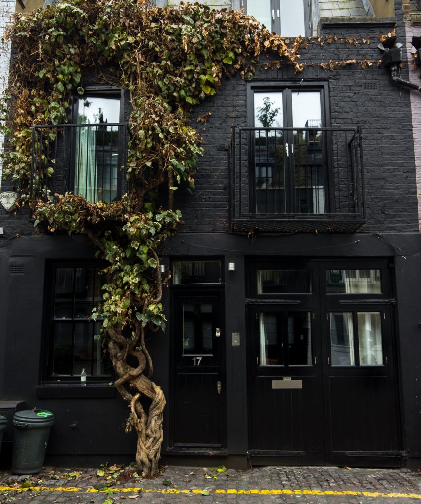 A Guide to Discovering London's Most Photogenic Notting Hill Houses