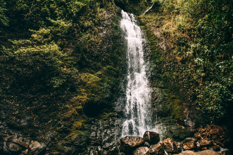 Lulumahu Falls // A Fun Waterfall Hike Through Oahu's Jungle