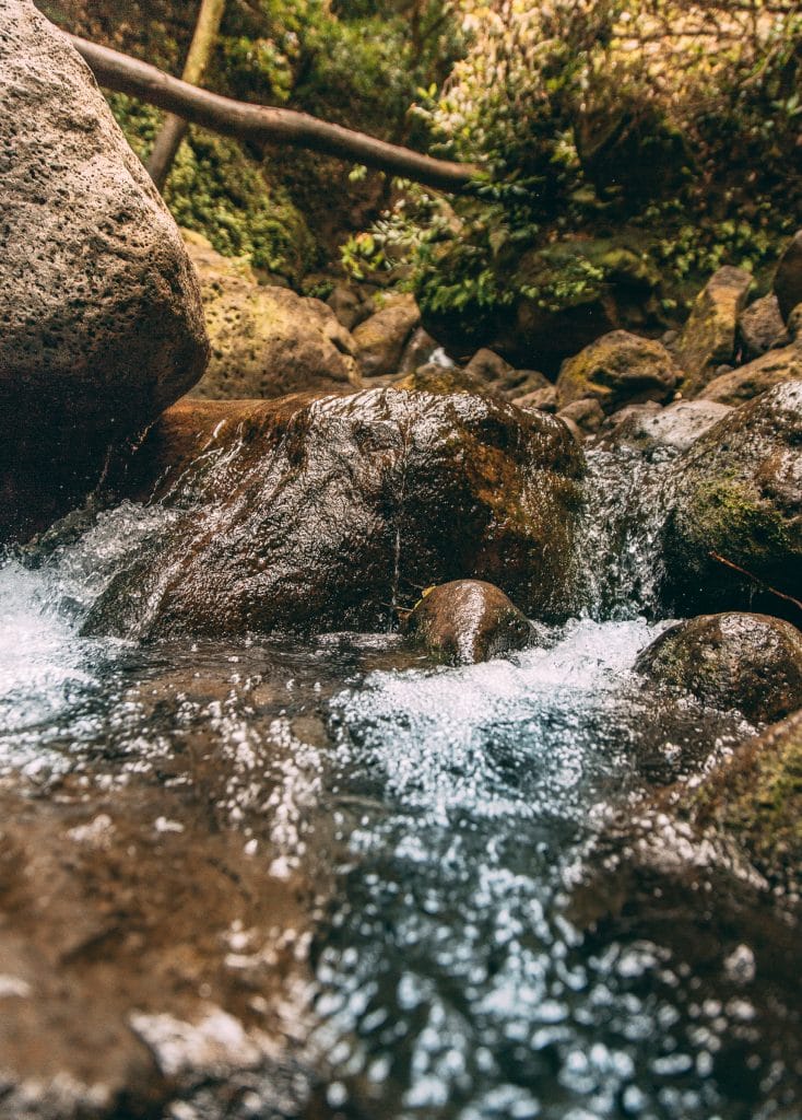 Lulumahu Falls // A Fun Waterfall Hike Through Oahu's Jungle