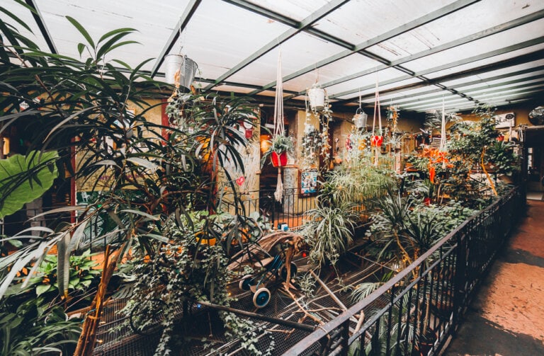 Szimpla Kert // A Walkthrough of Budapest's Most Popular Ruin Bar