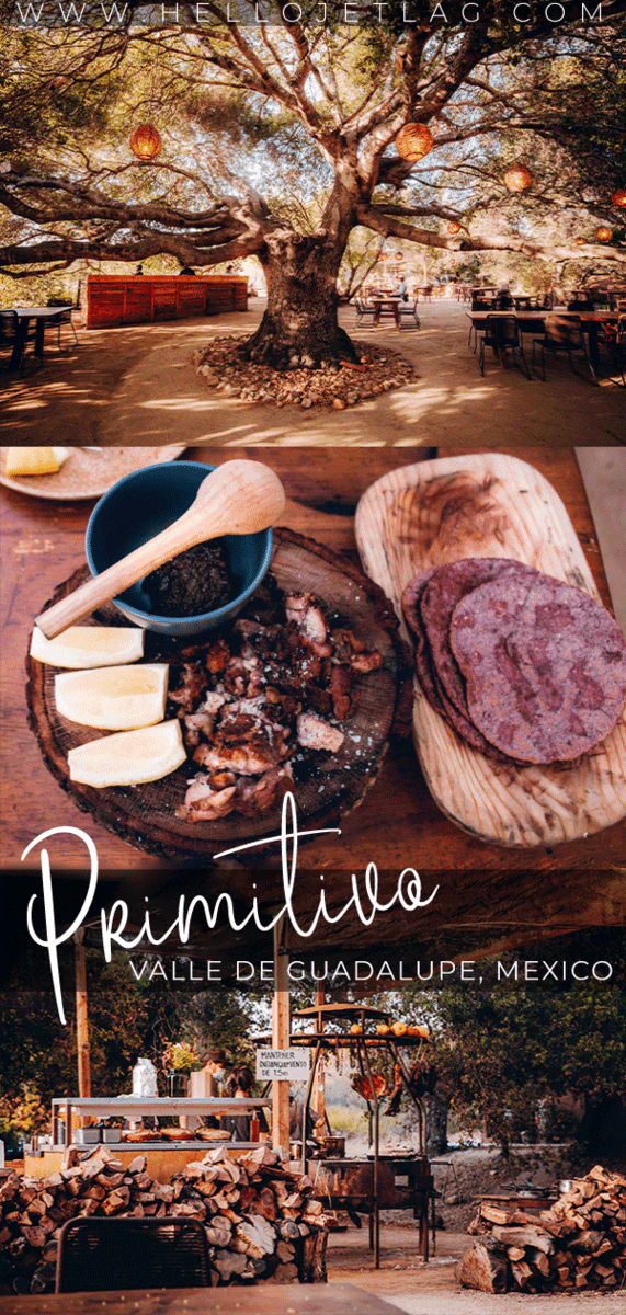 Primitivo Restaurant Valle de Guadalupe : Dinner Under a 300 Year Oak